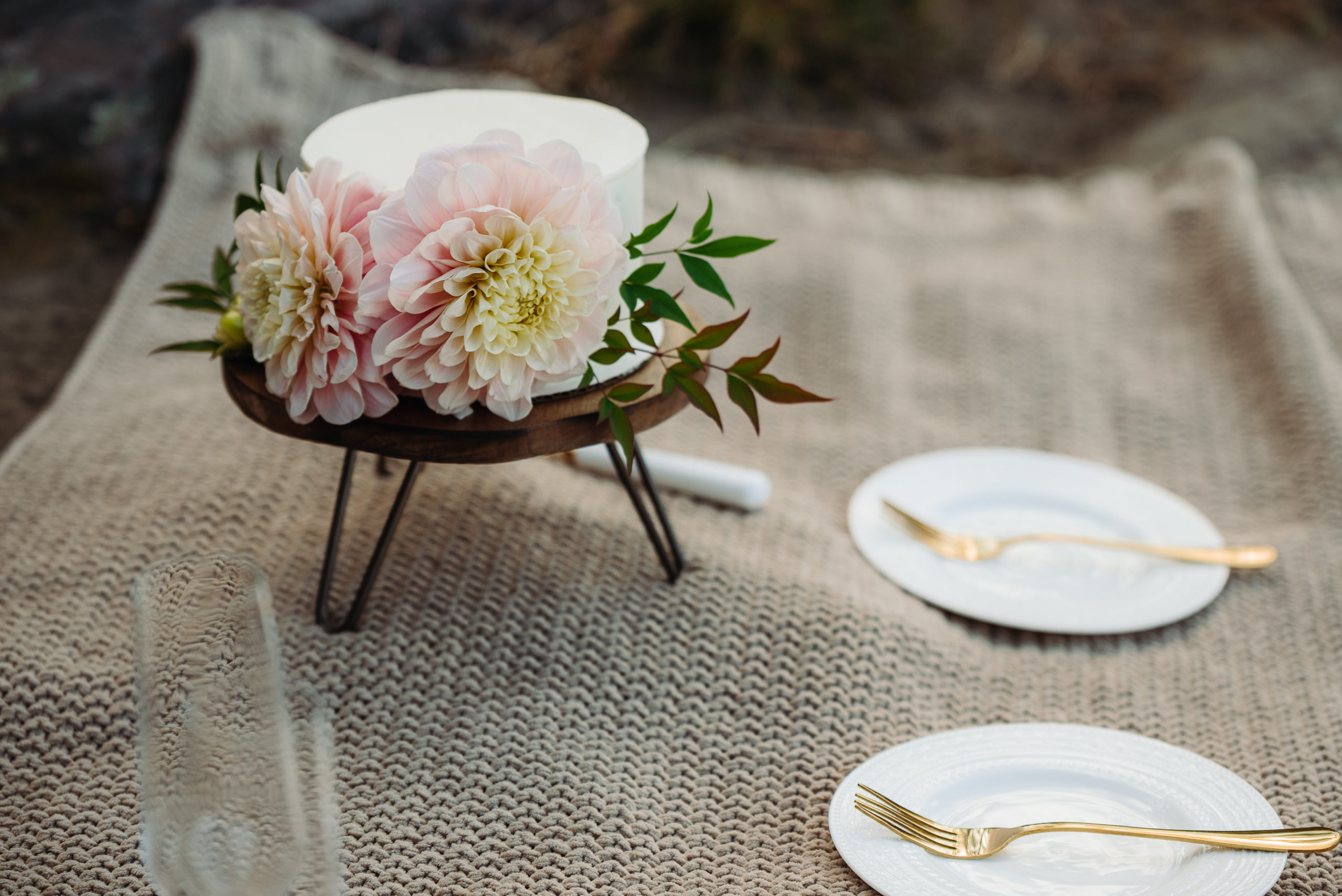 Elopement Wedding Cake Asheville Fall Mountain Elopement ~ Elope Outdoors