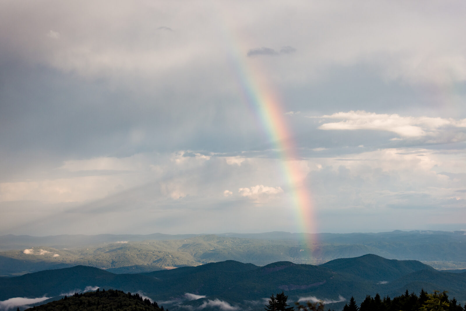 A Dreamy Elopement in Asheville, NC: Love, Rainbows, and the Enchanting ...