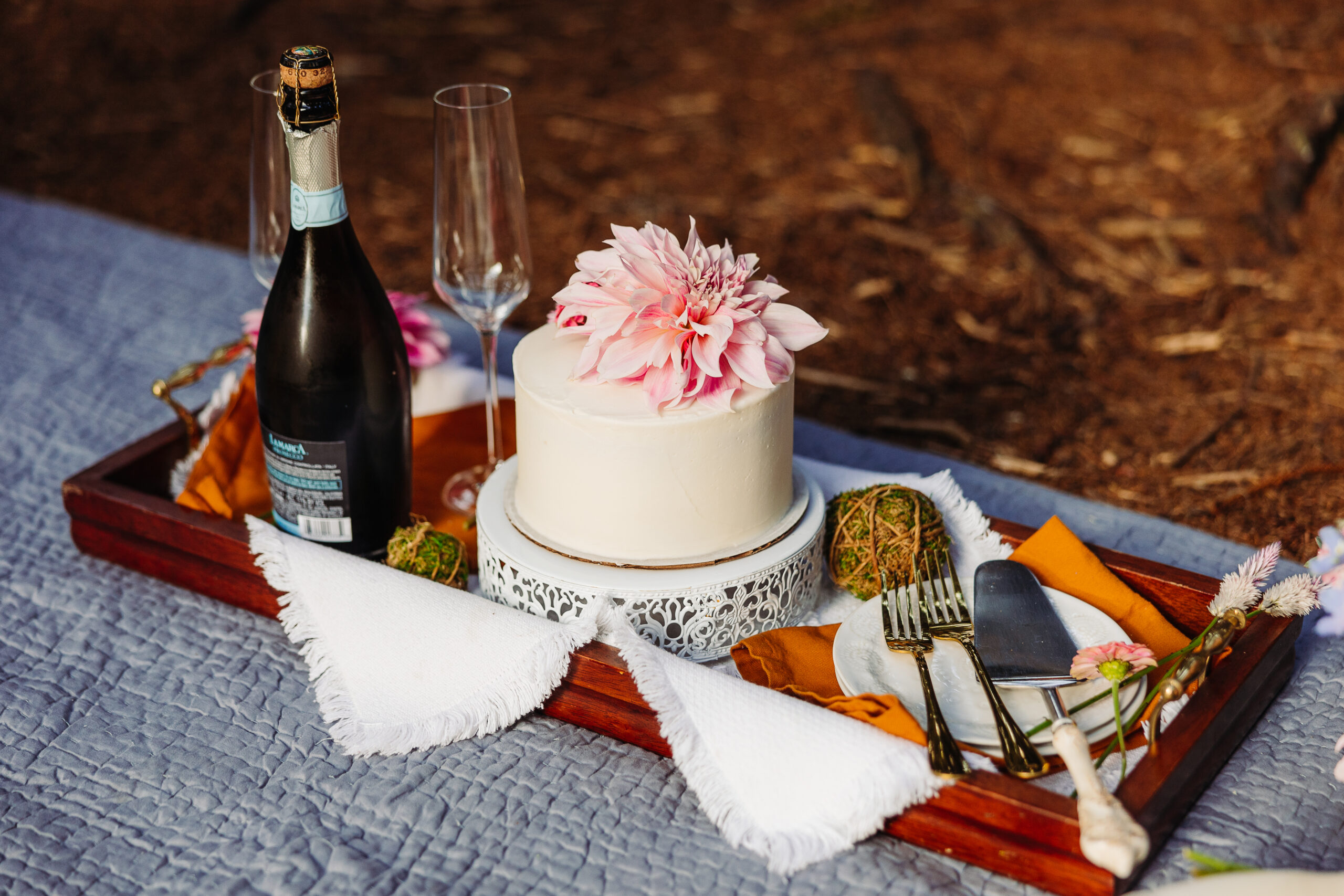 asheville elopement photos_ cake ~ Elope Outdoors
