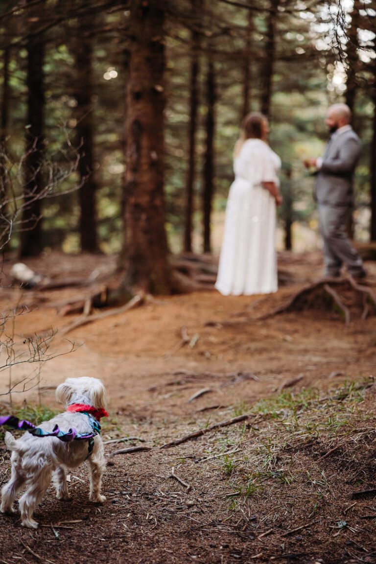 Dreamy Vow Renewal in Asheville ~ Elope Outdoors